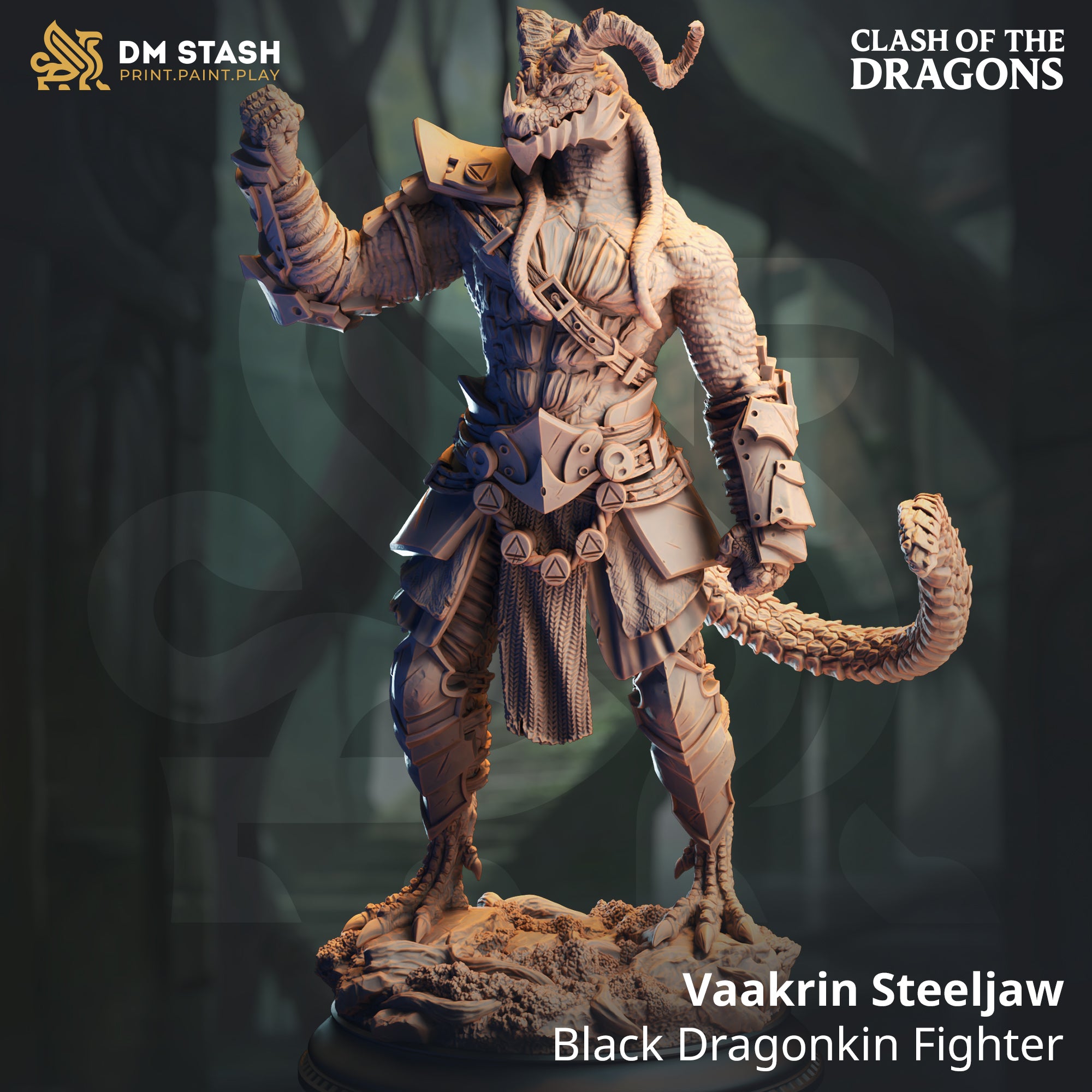 DM Stash - Vaakrin Steeljaw, Black Dragonborn Fighter - Clash of Drago – WIzard's Workshop